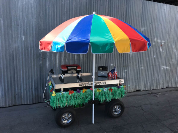 Build Your Ultimate Sandhopper - Sandhopper Electric Beach Wagons